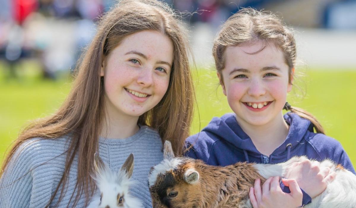 PHOTO GALLERY: A great day out at the Naas Races Family Fun Day - Photo ...