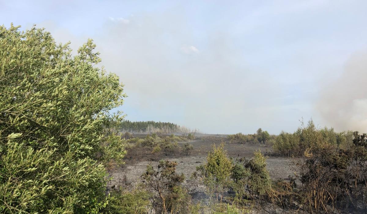 VIDEO: Large areas of Prosperous bog left scorched after long-running ...