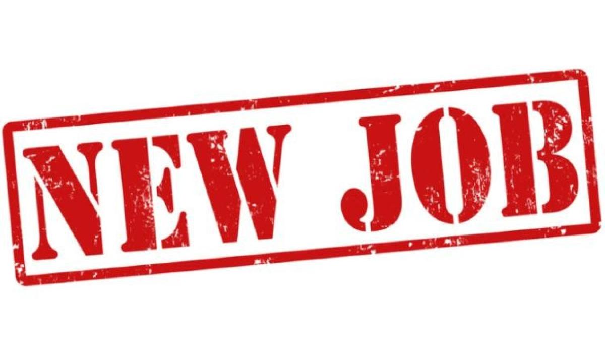 Award-winning Butchers hiring Deli Assistant - Kildare Now