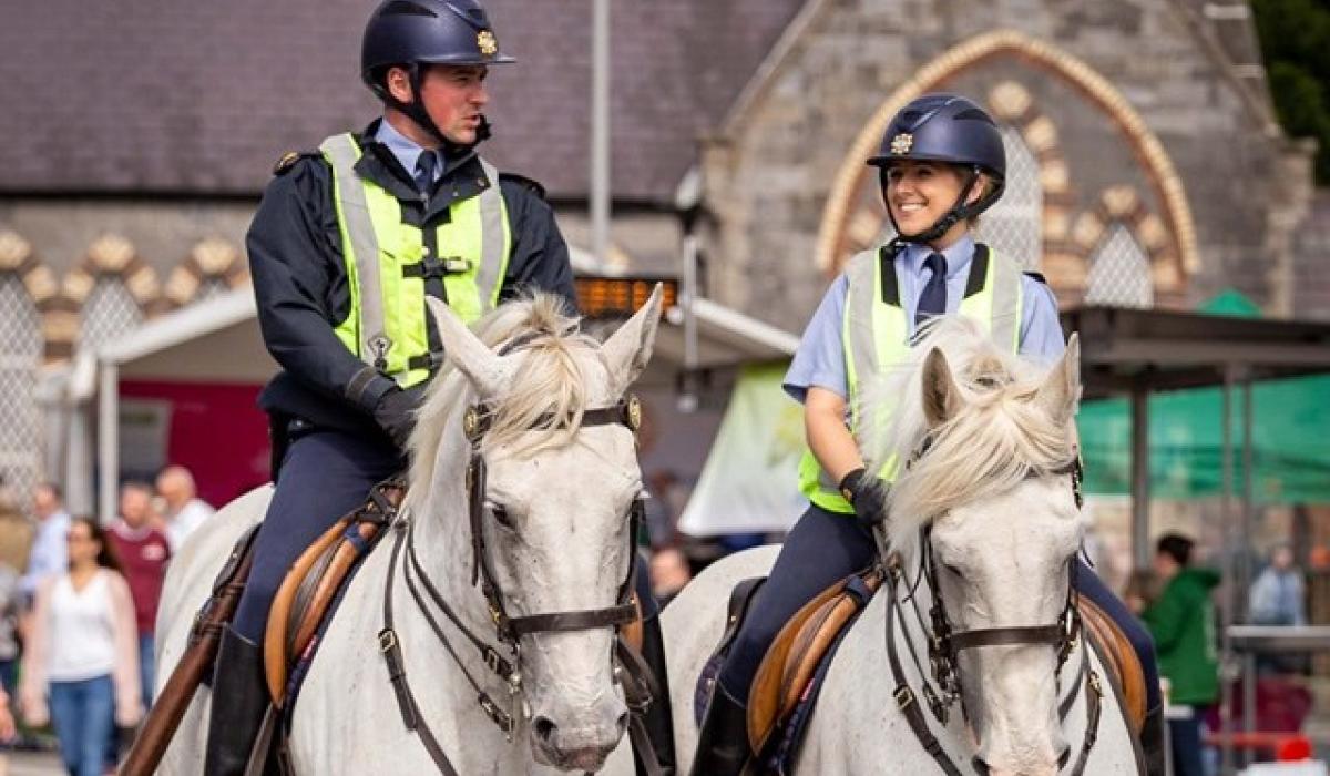GALLERY: Naas Community Fete in association with Naas Gardaí and Rotary ...