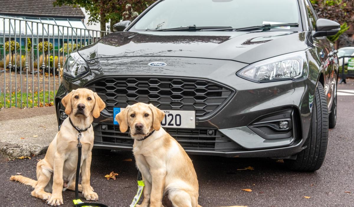 Kildare Branch of Irish Guide Dogs for the Blind targeting €1 million ...