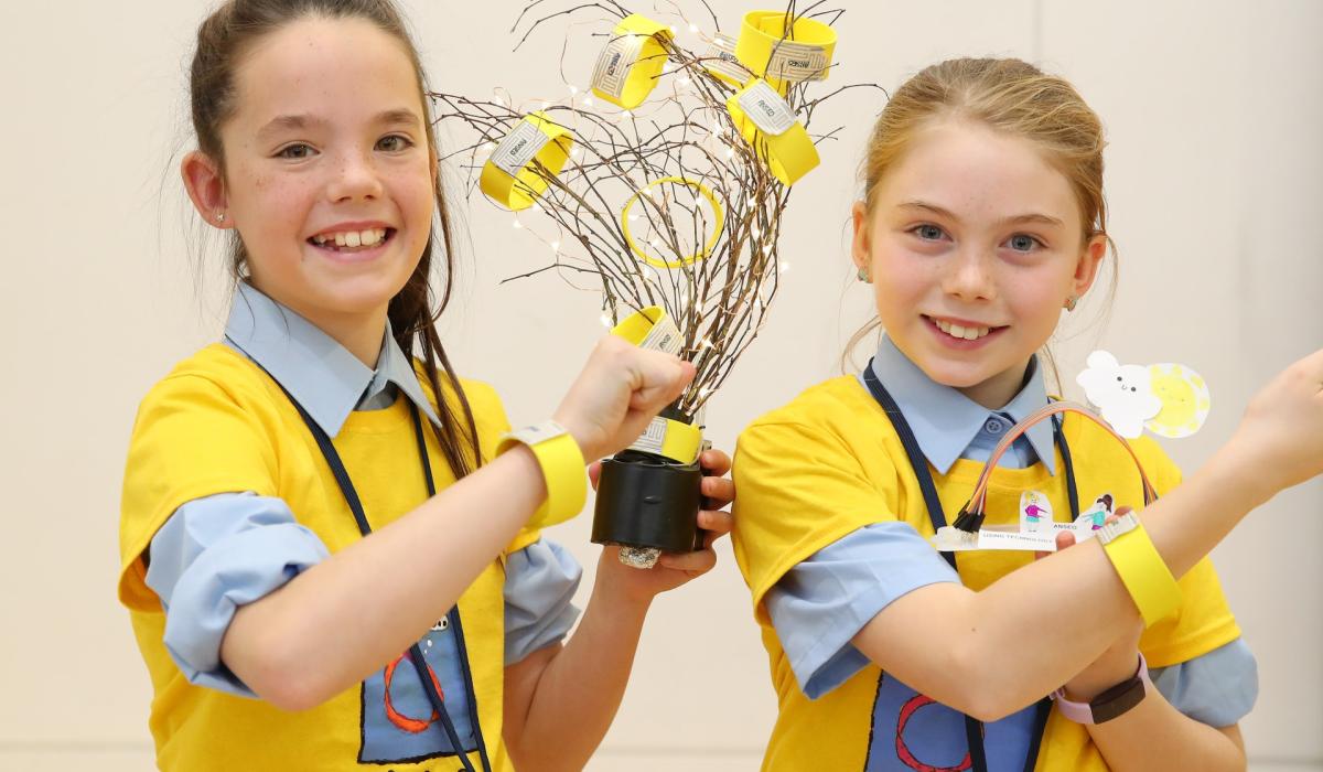 Four Kildare projects have been selected at the Intel Mini Scientist ...