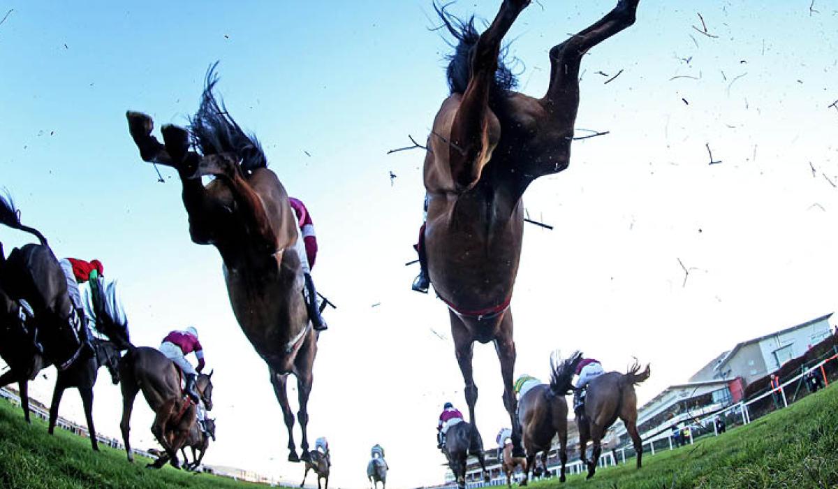 Festive feast of horse racing kicks off today - Kildare Now