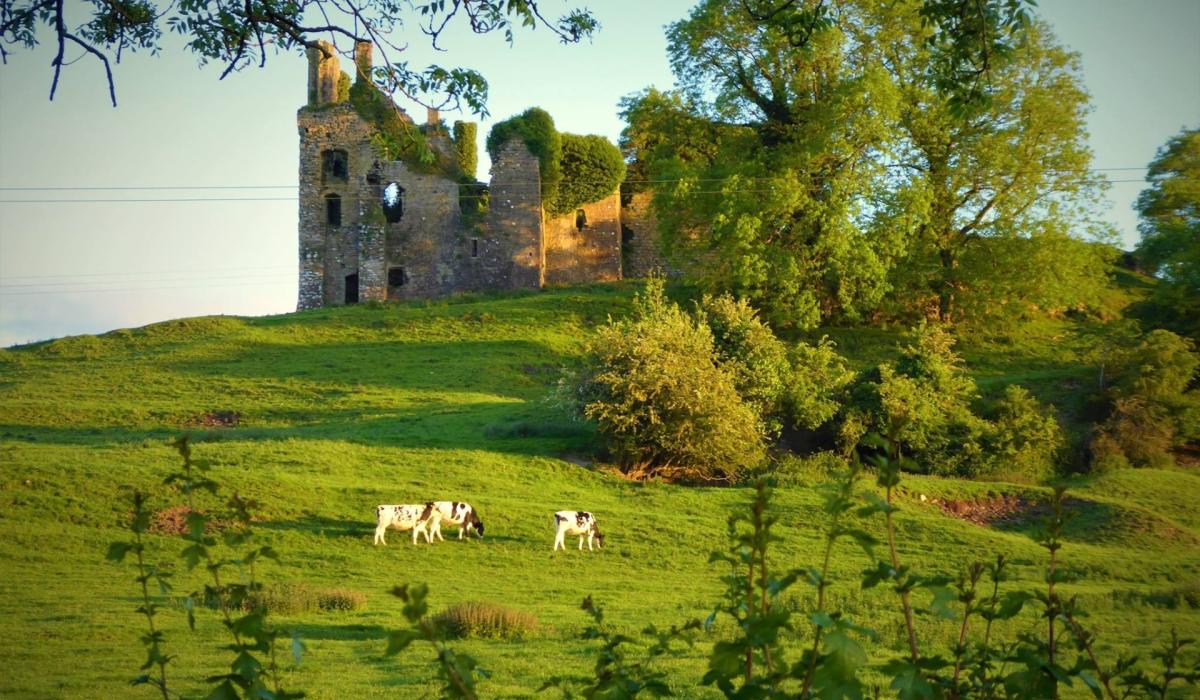 READER PICTURES: Kildare's Carbury Castle is steeped in history - Photo ...
