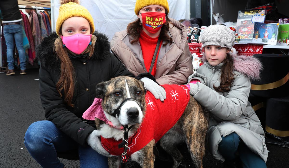 PICTURES: Naas Christmas Market in Poplar Square - Photo 2 of 28 ...