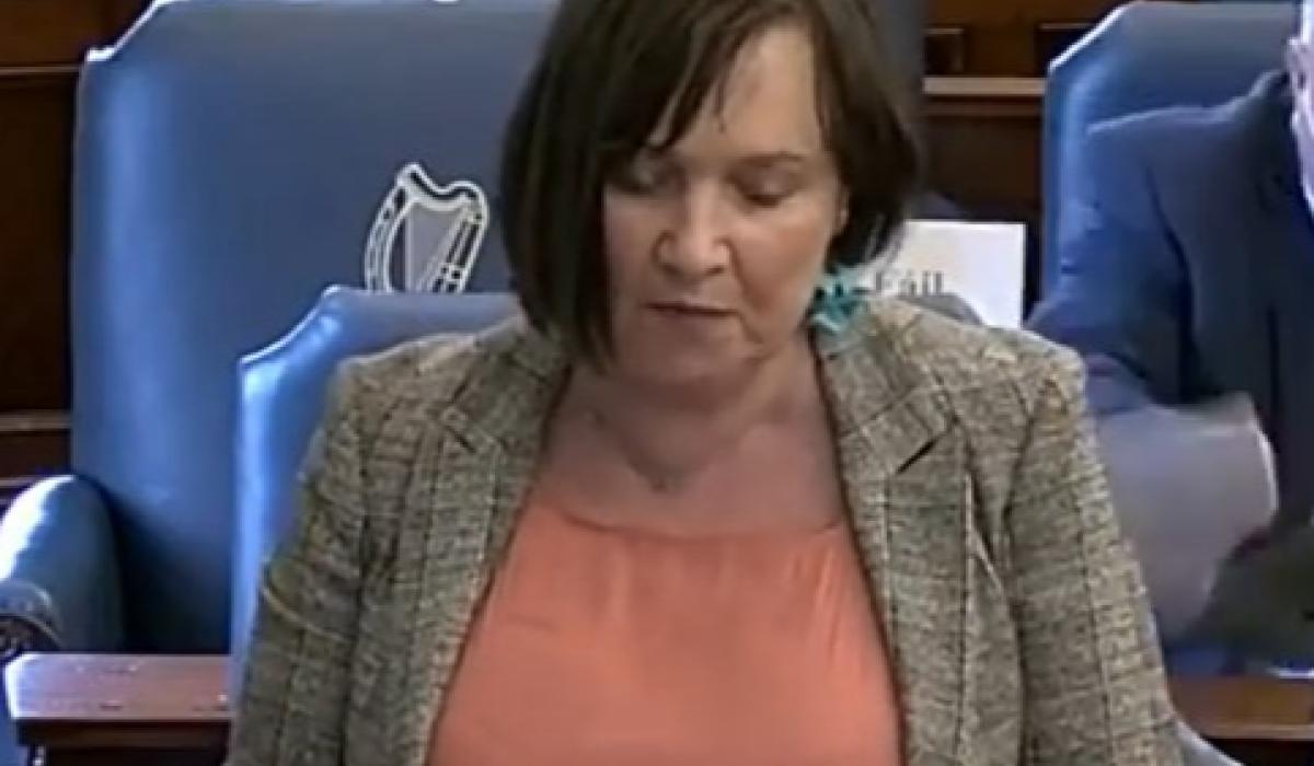 Kildare Senator welcomes news of 3,000 additional work permits being ...