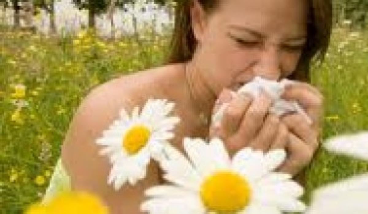 Top tips to beat hayfever for Kildare sufferers! - Kildare Now