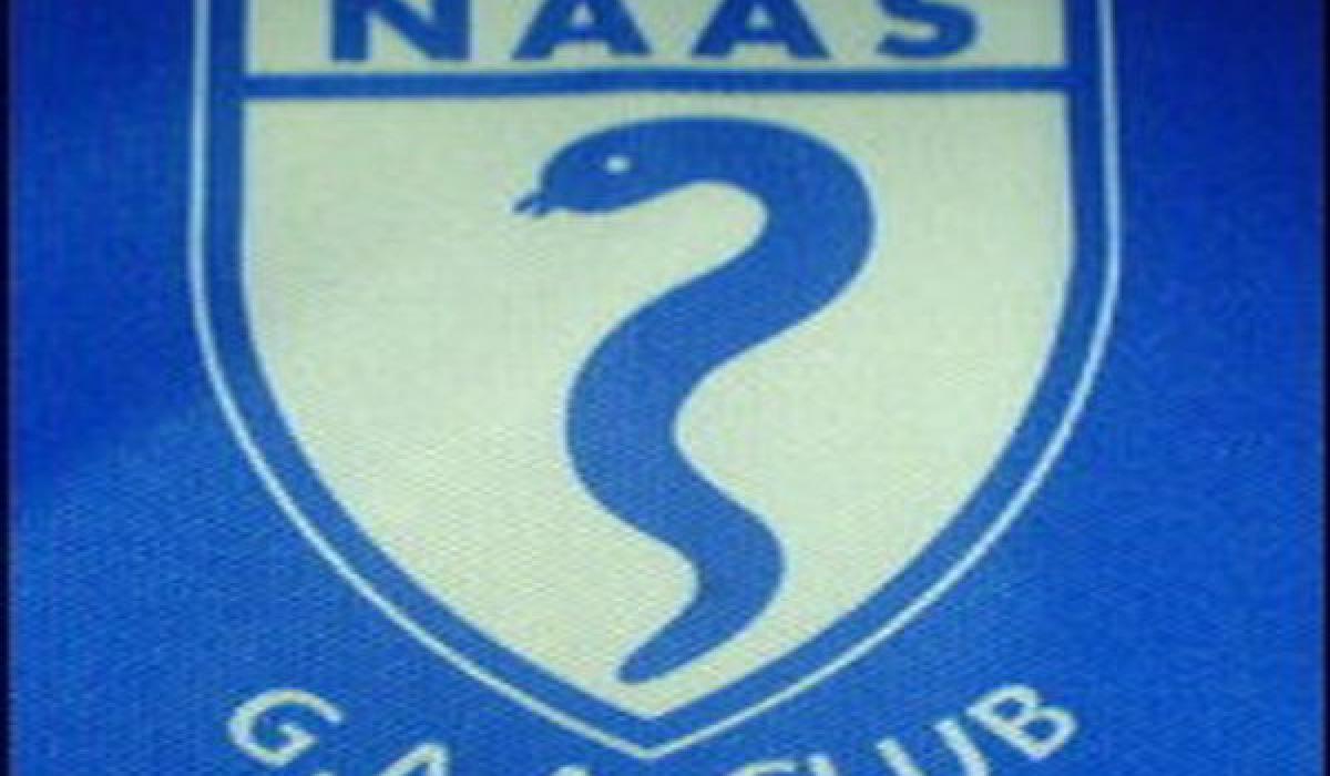 Call for VIP reception for 'unbelievable' success of Naas GAA - Kildare Now