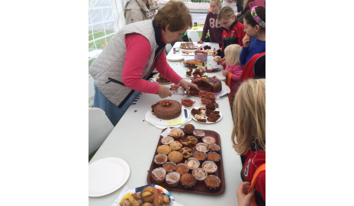 Locals show community solidarity with Caragh traders - Councillor ...