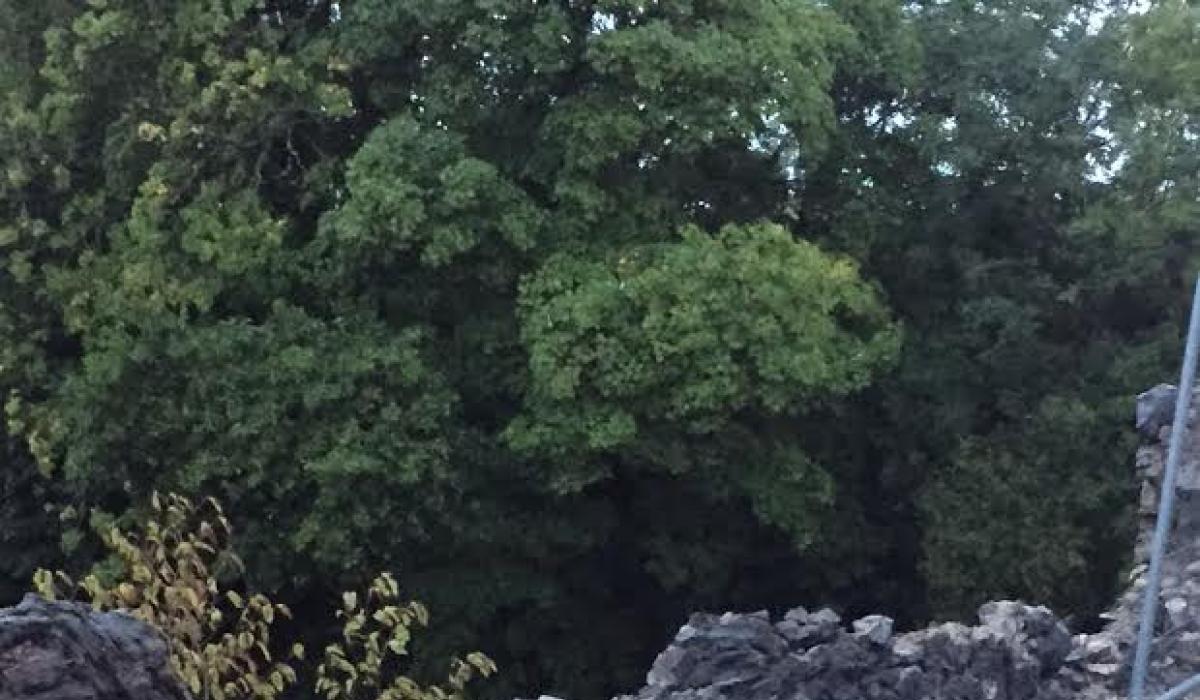 Caragh Bridge reopening this afternoon - Kildare Now