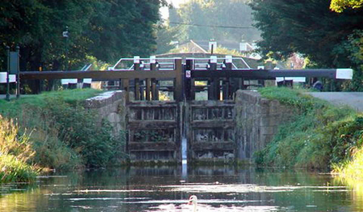 Woman in Sallins rescued from drowning in canal this evening - Kildare Now