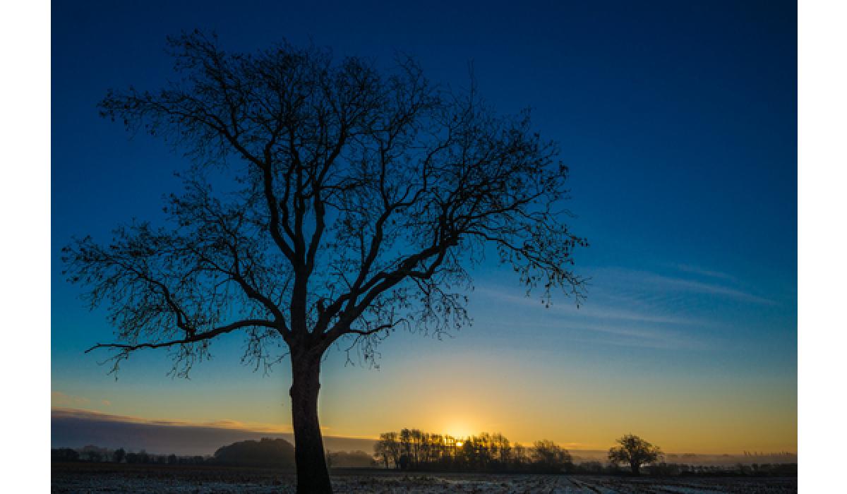 Dawn walk taking place in Kildare for suicide awareness - Photo 1 of 1 ...