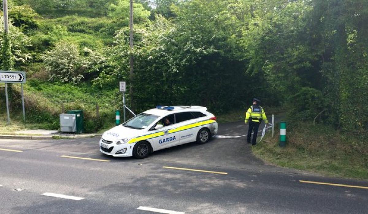 Another arrest in Crooksling murder case - Kildare Now
