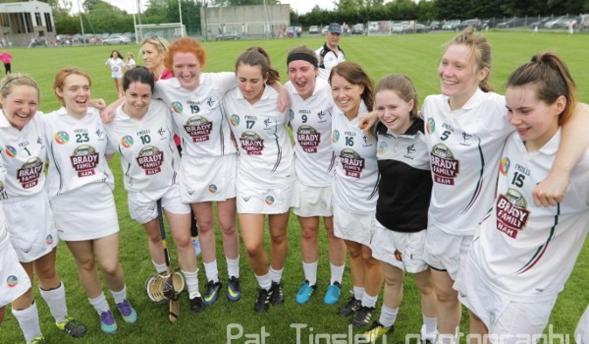 2 Kildare camogie stars rewarded with All-Star nominations following ...