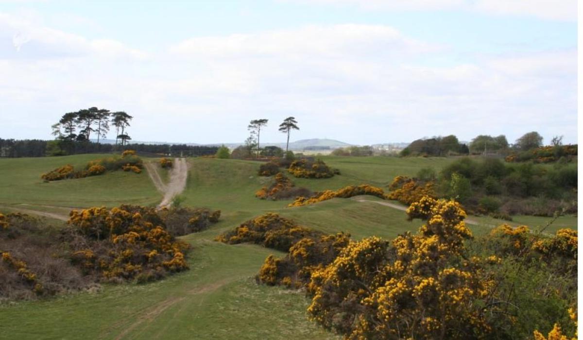 Cllr calls on Kildare County Council to provide update on Curragh ...