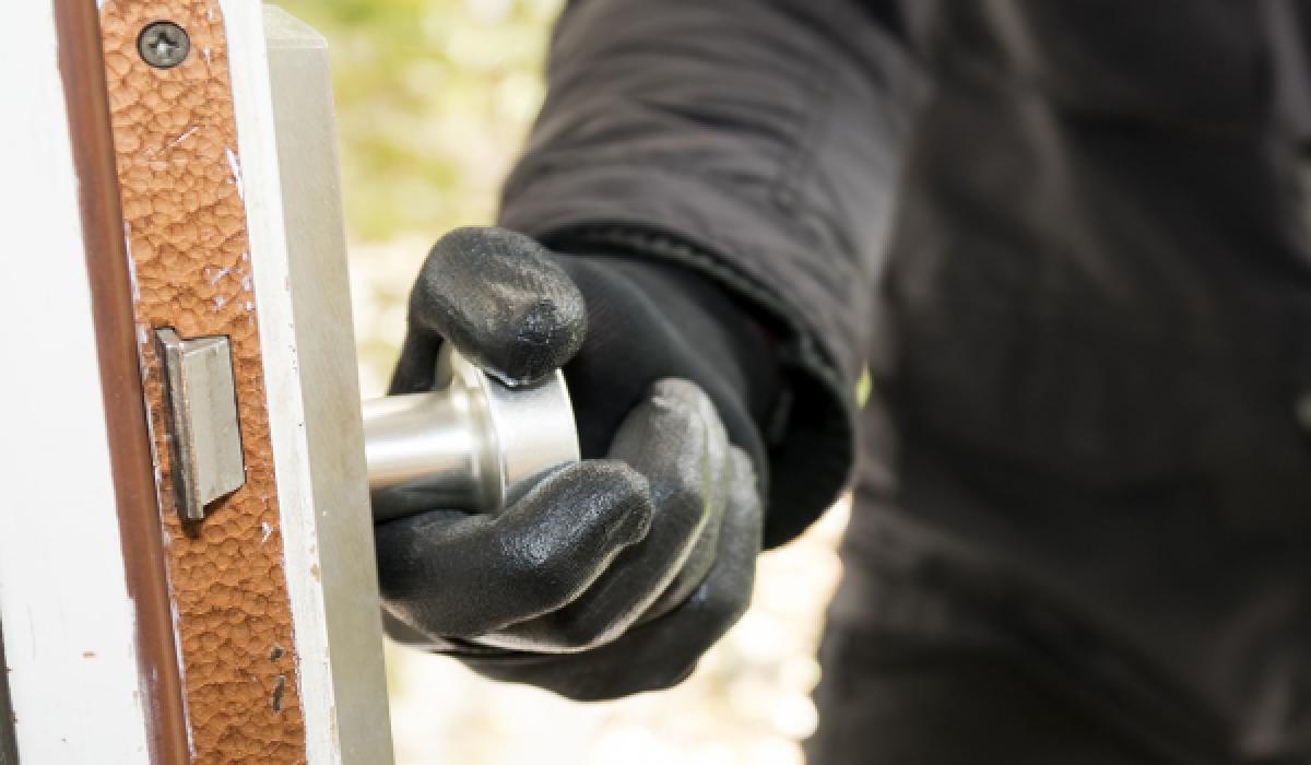 House broken into while owner collecting firewood - Kildare Now