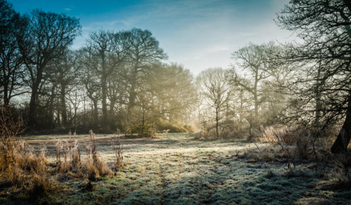 Met Éireann issue weather forecast for Sunday and next week - Kildare Now