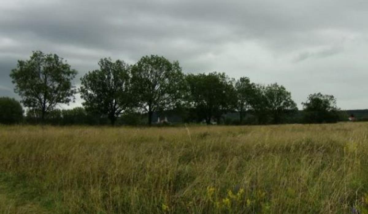 Mild spell to continue until Good Friday as weather begins to settle ...