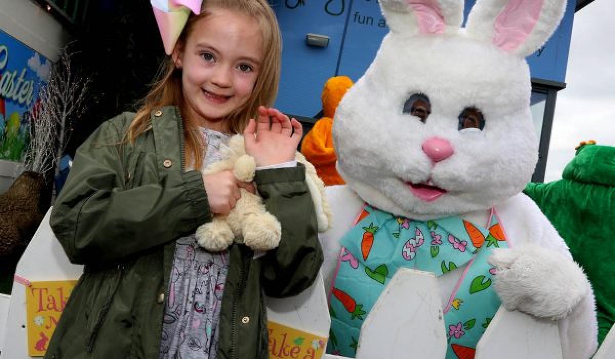 Robbie Foley's Instagram, Twitter & Facebook on IDCrawl