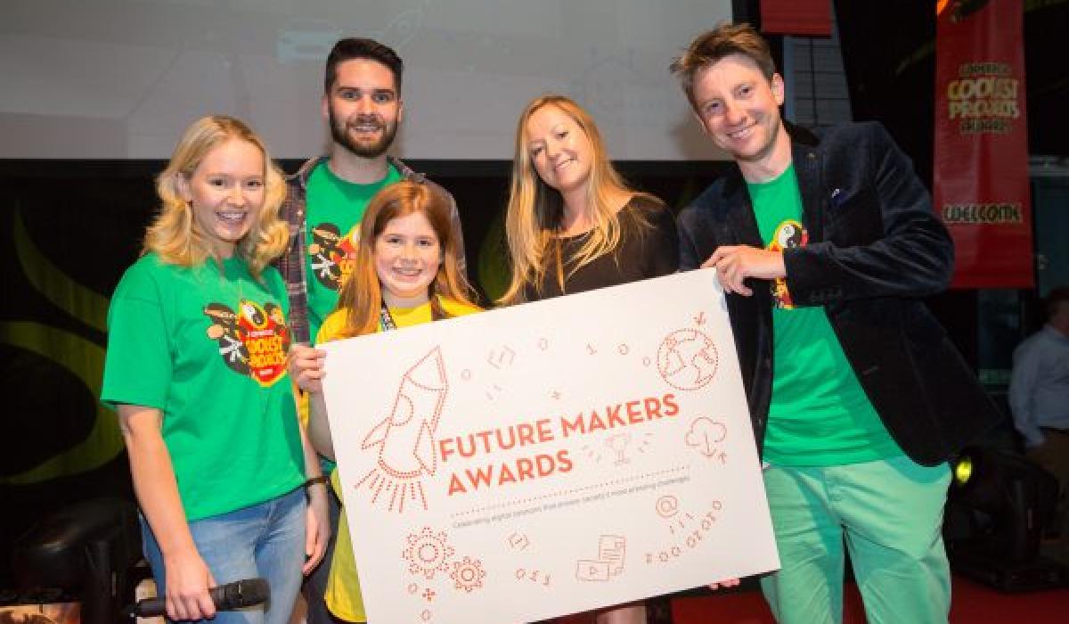 National school student from Dunlavin lands major Irish award for ...