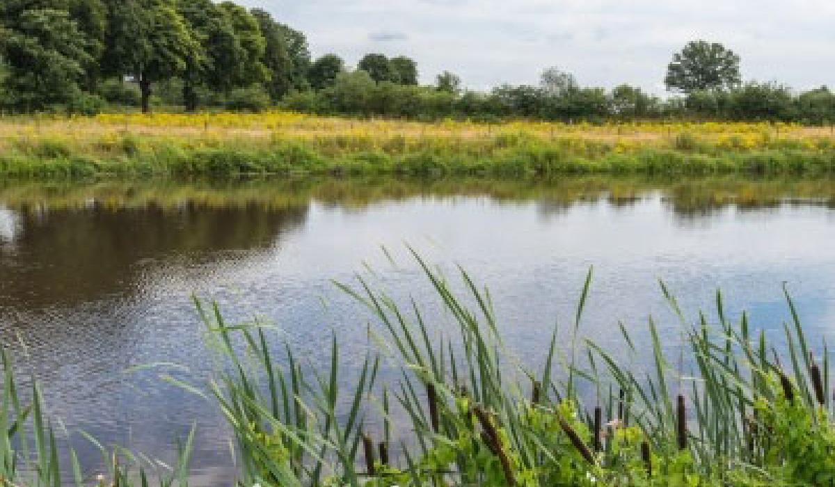 Council holding river basin information day TODAY - Kildare Now