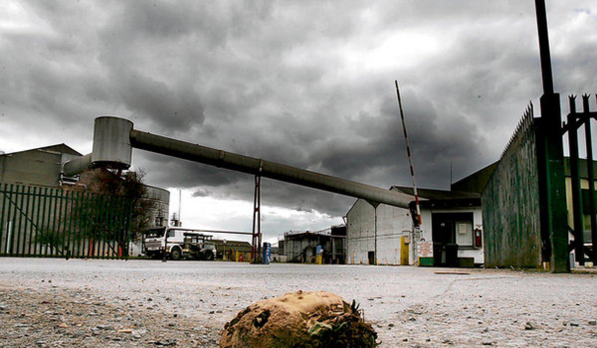 New sugar plant planned for site on Kildare-Carlow border - Kildare Now
