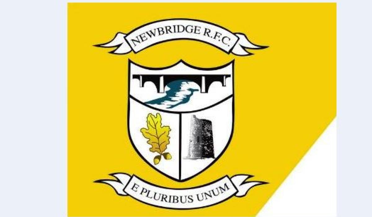 Newbridge Rugby Club wants to expand - Kildare Now