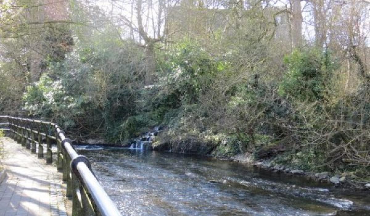 Plans for new pedestrian bridge over Co Kildare river - Kildare Now
