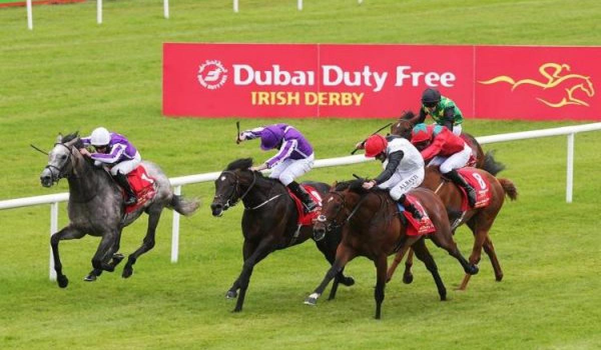 Biggest Derby field for 12 years goes to post on Saturday - Kildare Now