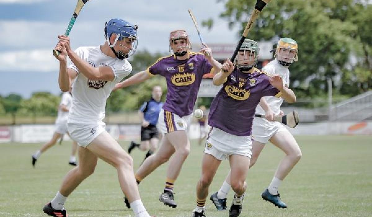 Kildare minor hurlers back in action this evening as they bid for ...