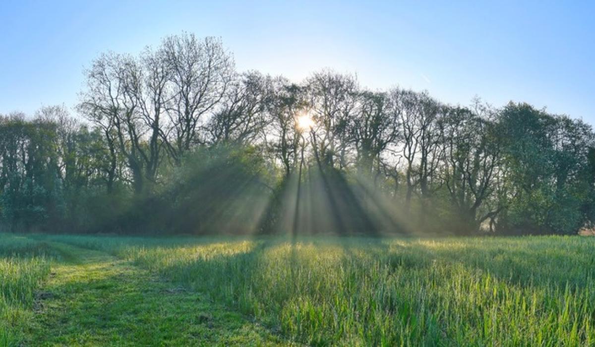 Mild weather continues with temperatures of 9-11 degrees across Co ...