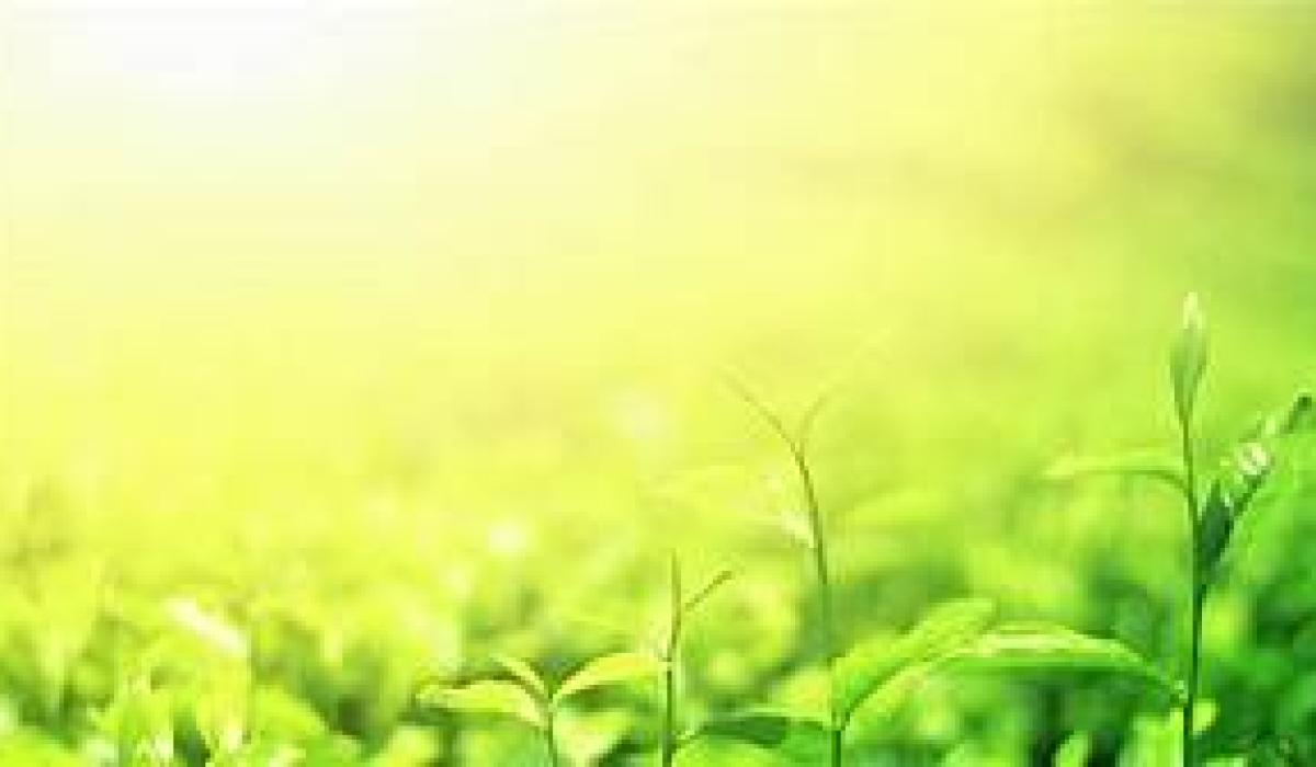 Long spells of hazy sunshine today - Kildare Now