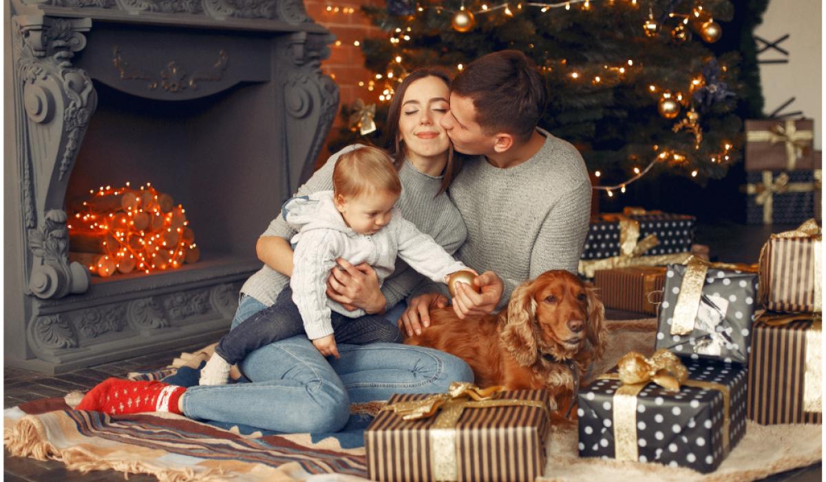 Copper Beech Farm - An enchanted Santa experience - Kildare Now