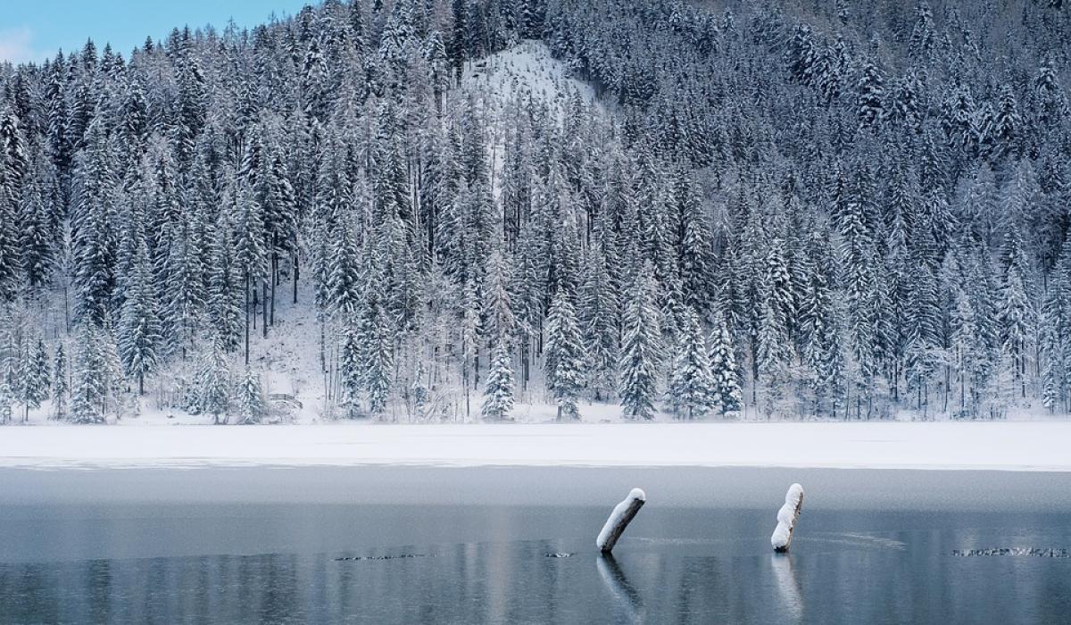 Kildare included in Weather Warning for ice and freezing fog - Kildare Now