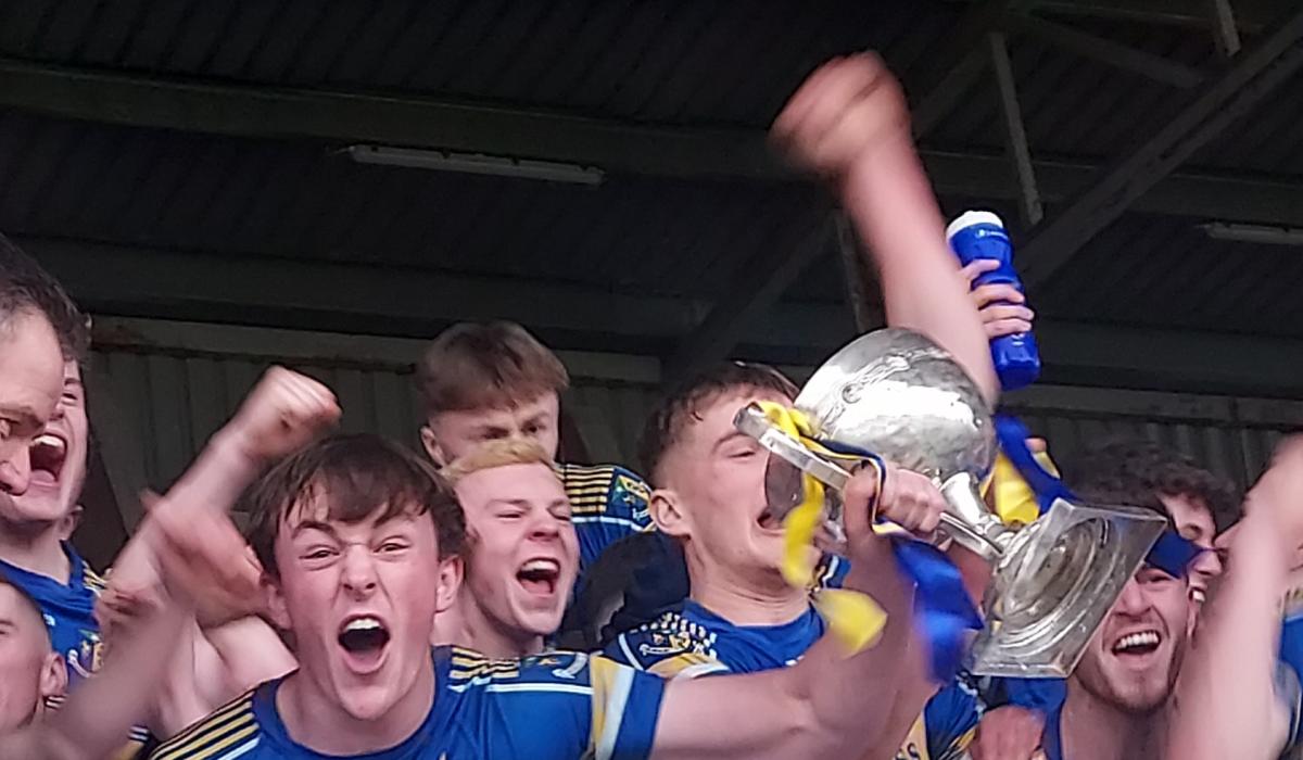 Leinster PPS 'A' Final: Naas CBS retain Bosco Cup in dramatic final ...