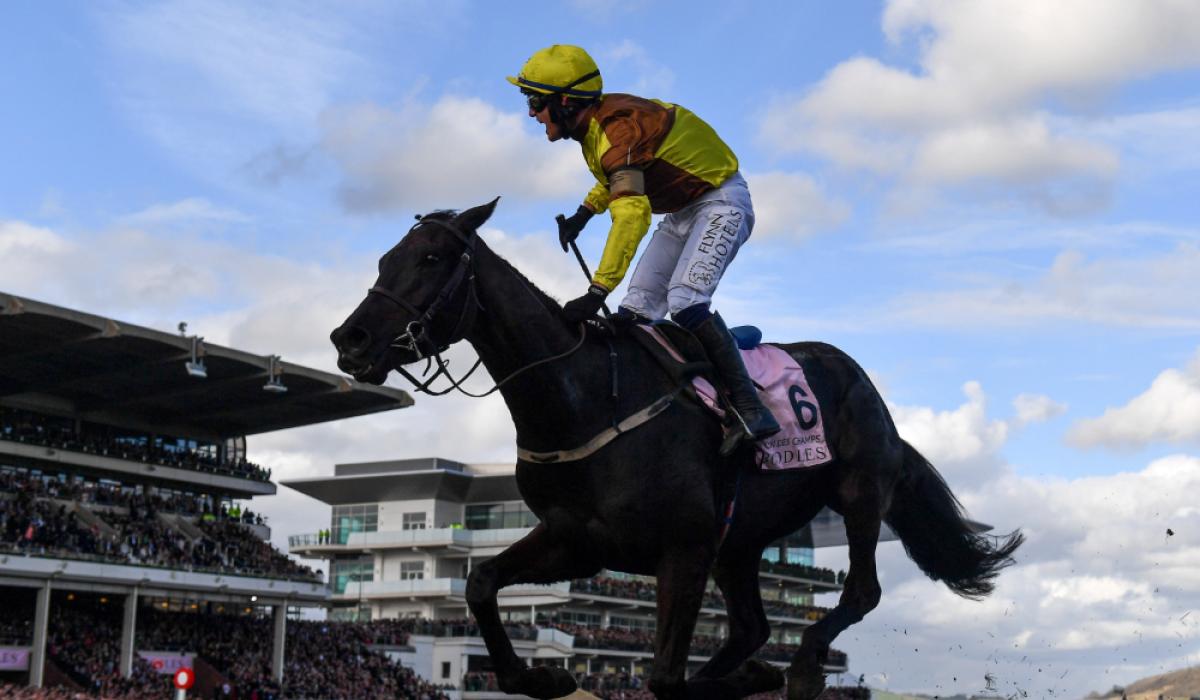 Punchestown 2023: Grade 1 entries announced - Kildare Now