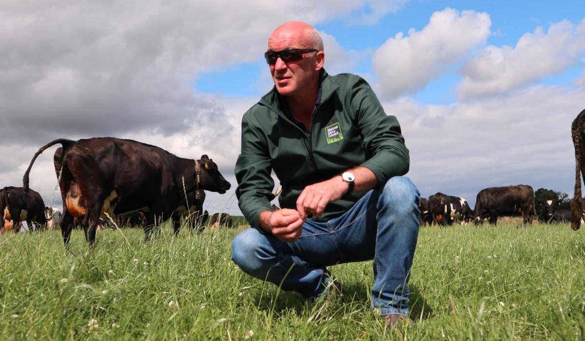 Irish dairy farming - An industry built on over 6,000 years of ...
