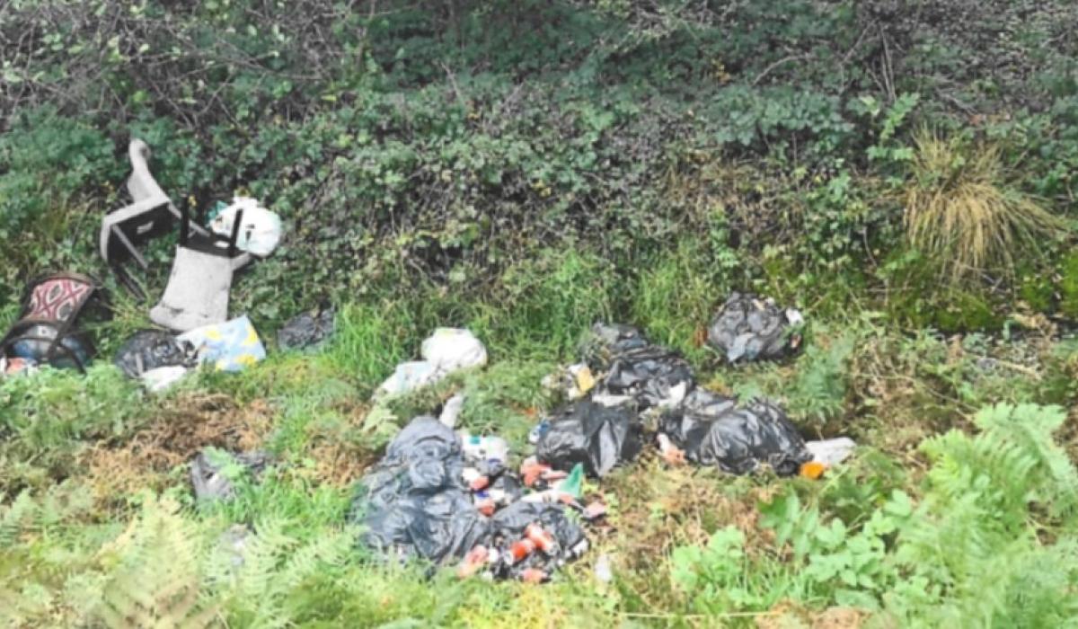 NEWS BRIEF: Kildare County Council cleans up 3.5 tonnes of litter in Kildoon - Kildare Now