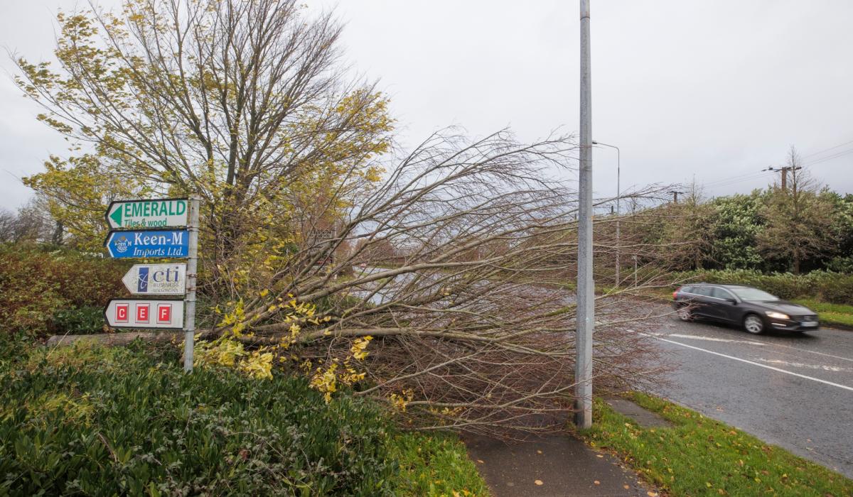 In Pictures: Storm Debi causes havoc and damage across Ireland - Page 2 ...