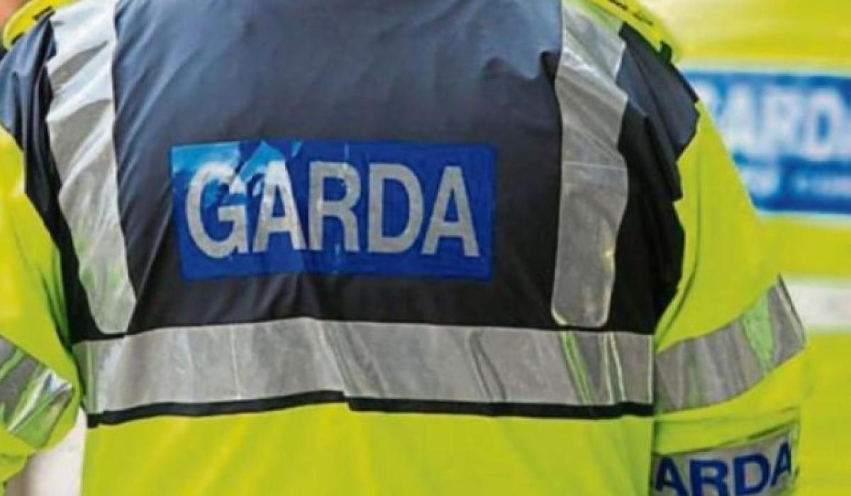 A credit to the gardaí and also to Ireland’’: Kildare judge thanks ...
