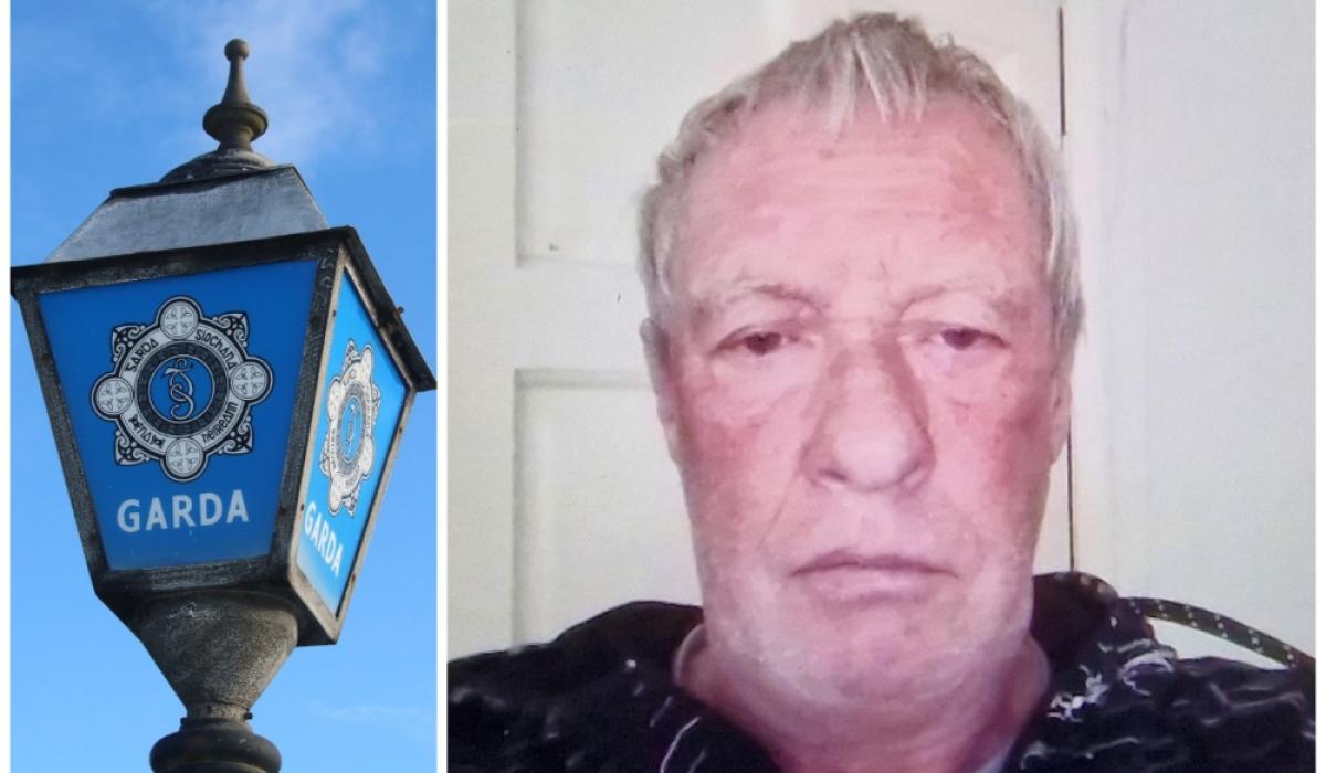 Gardaí concerned for wellbeing of missing man in his 60s - Kildare Now
