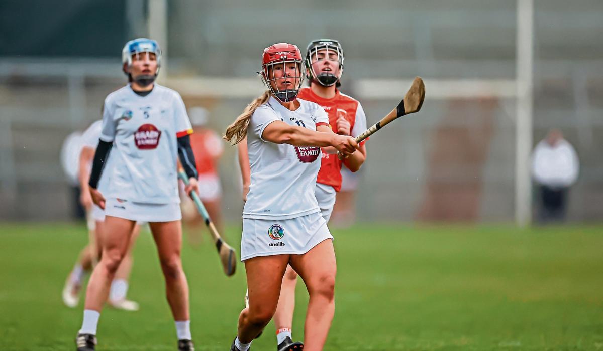 Kildare minors chalk up win over Kerry - Kildare Now
