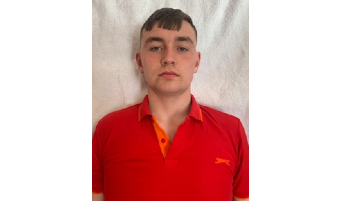 Gardaí concerned for missing boy's welfare as third week approaches - Kildare Now
