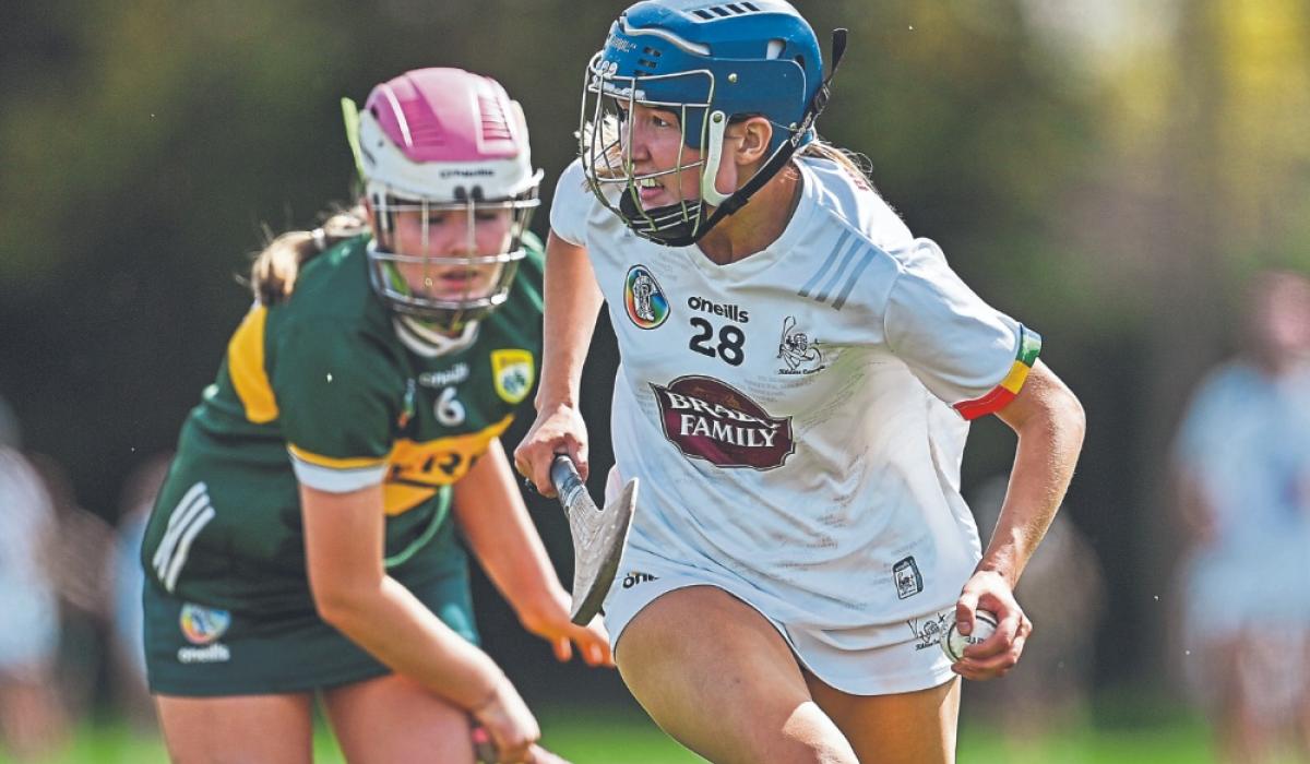 Kildare hit five goals to beat Kerry and book a spot in minor camogie ...