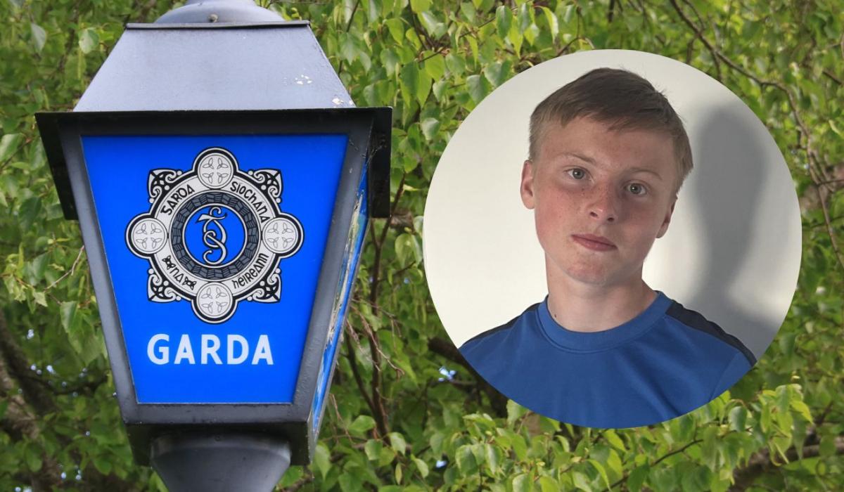 ALERT: Gardai seek help in locating missing teenager - Kildare Now