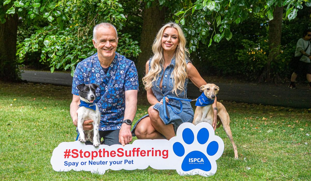 ISPCA launches campaign encouraging pet owners in Kildare to spay or ...