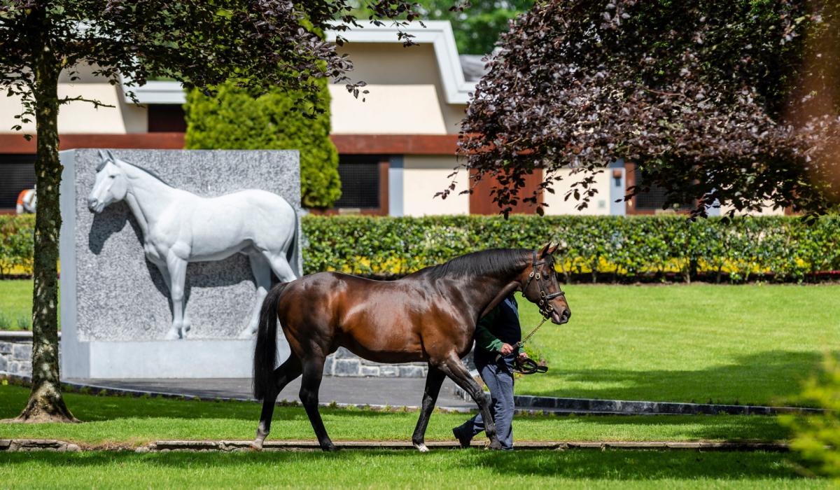 Irish National Stud and Gardens recognised as being in the top 10% of ...