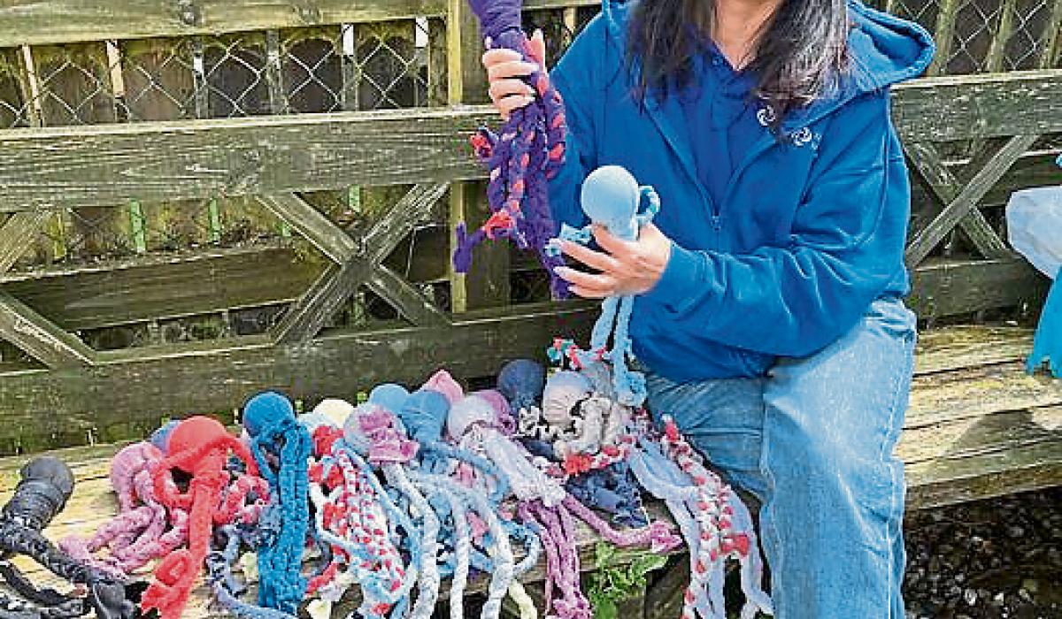 Kildare Volunteer Centre make toys from old tennis balls for rescue ...