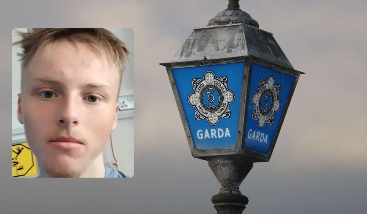 Gardaí renew appeal for help in locating teenager missing from Dublin home - Kildare Now