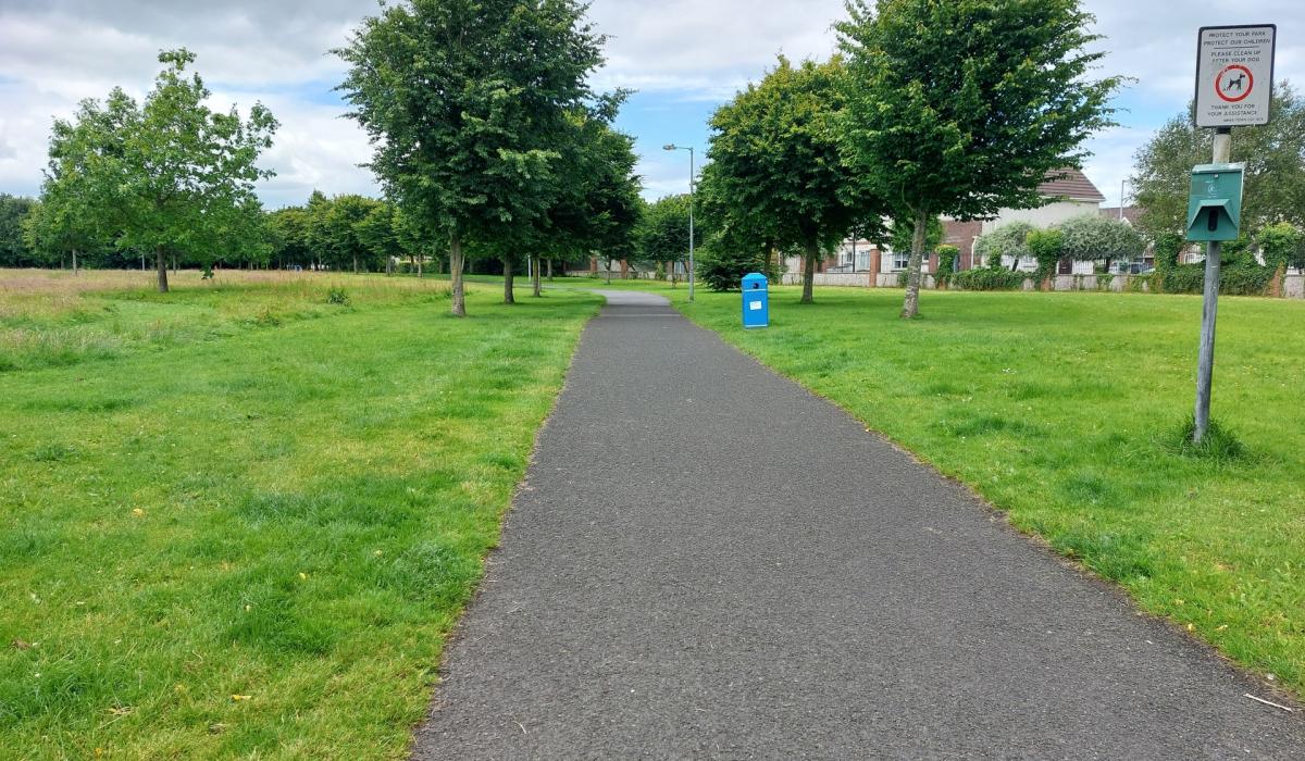 Facilities need to be improved at a popular County Kildare public park ...